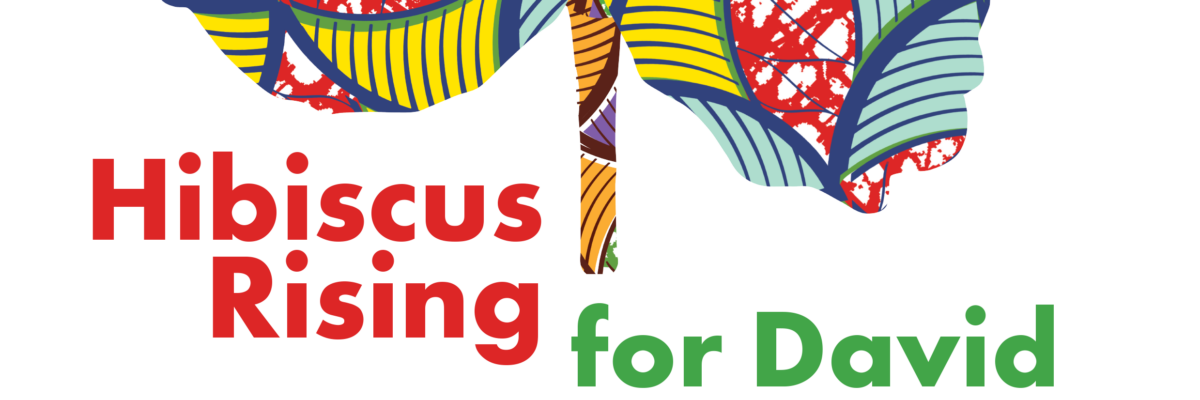 HIBISCUS RISING: THE LEGACY OF DAVID OLUWALE – Chapel FM